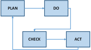 Using the Plan-Do-Check-Act Cycle - Gina Abudi